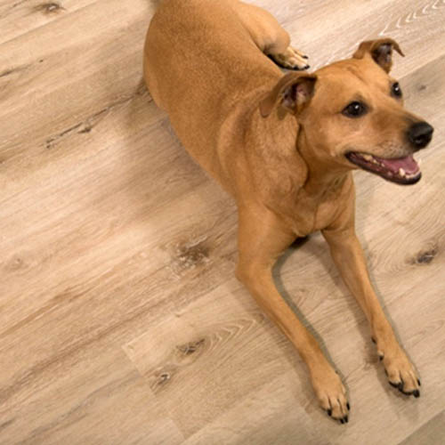 O que considerar na hora de escolher o piso ideal para seu ambiente ...